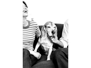 Black and White Dog Photography by Jesse Freidin | PPT