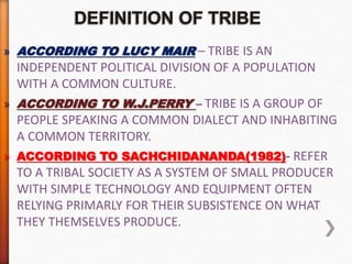 TRIBAL SOCIETY ,MEANING DEFINATION,19 CHARACTERSTICS | PPTX