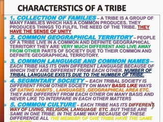 TRIBAL SOCIETY ,MEANING DEFINATION,19 CHARACTERSTICS | PPTX