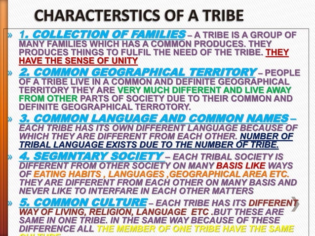 TRIBAL SOCIETY ,MEANING DEFINATION,19 CHARACTERSTICS | PPTX | Hinduism ...