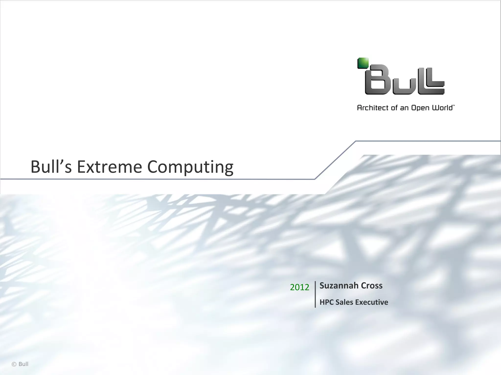 Bull Information Systems | PPT