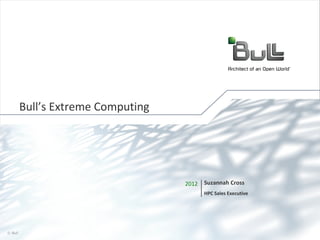 Bull Information Systems | PPT
