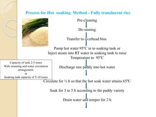 Paddy parboiling and Drying | PPTX