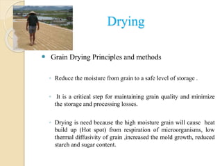Paddy parboiling and Drying | PPTX