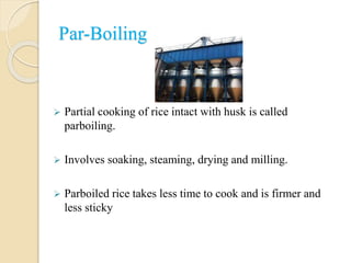 Paddy parboiling and Drying | PPTX