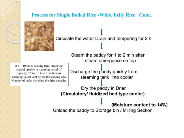 Paddy parboiling and Drying | PPTX