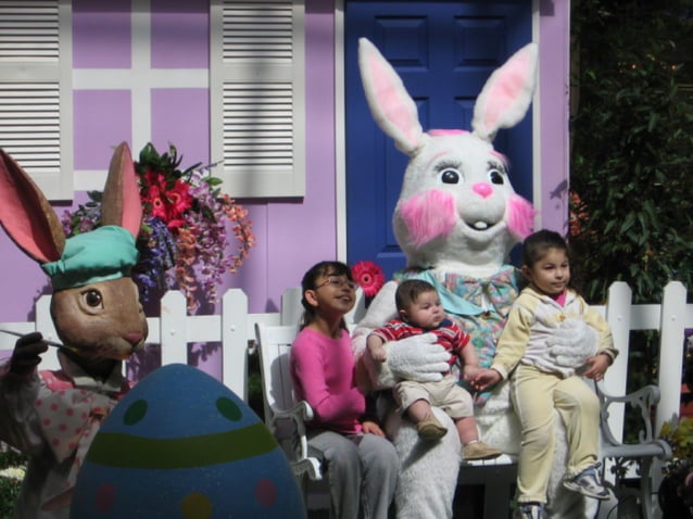 Deca Dramatic Traditions-Visual Merchandising , Display Pictures | PDF