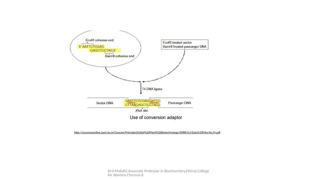 Presentation on Linkers &Adapters used in rDNA Technology | PPTX