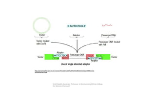 Presentation on Linkers &Adapters used in rDNA Technology | PPTX