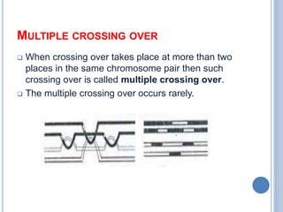 Linking and-crossing-over | PPTX