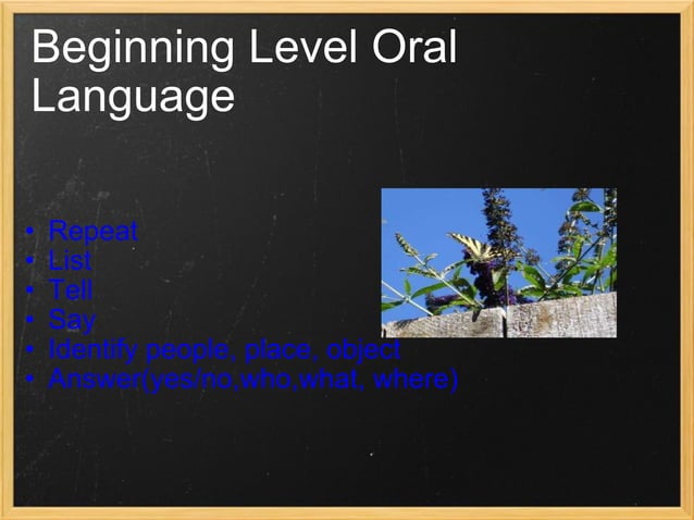 Oral Language Strategies | PPT