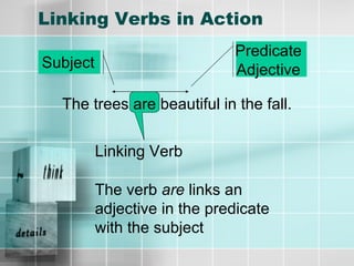 Linking verbs show | PPS