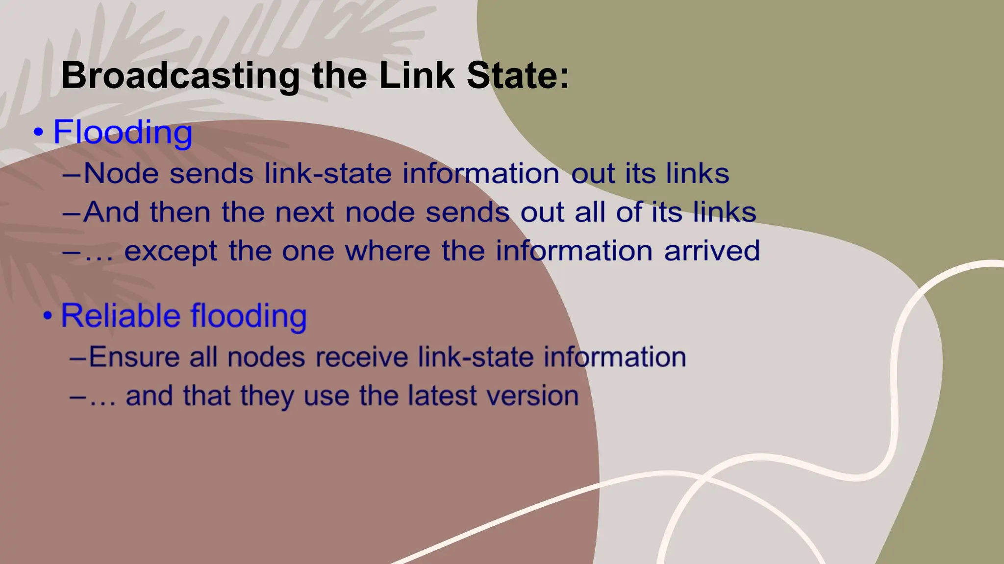Link State Routing Protocol presentation.pptx