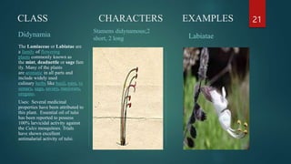 linneus system of classification (1).pptx