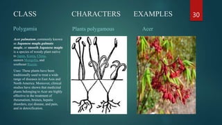 linneus system of classification (1).pptx