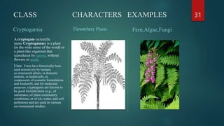 linneus system of classification (1).pptx