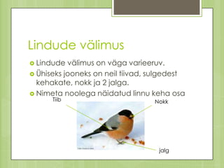 Linnud | PPTX