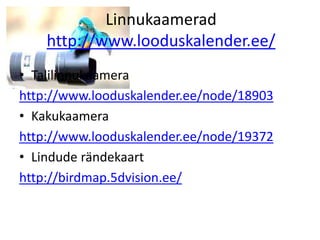Linnud | PPTX