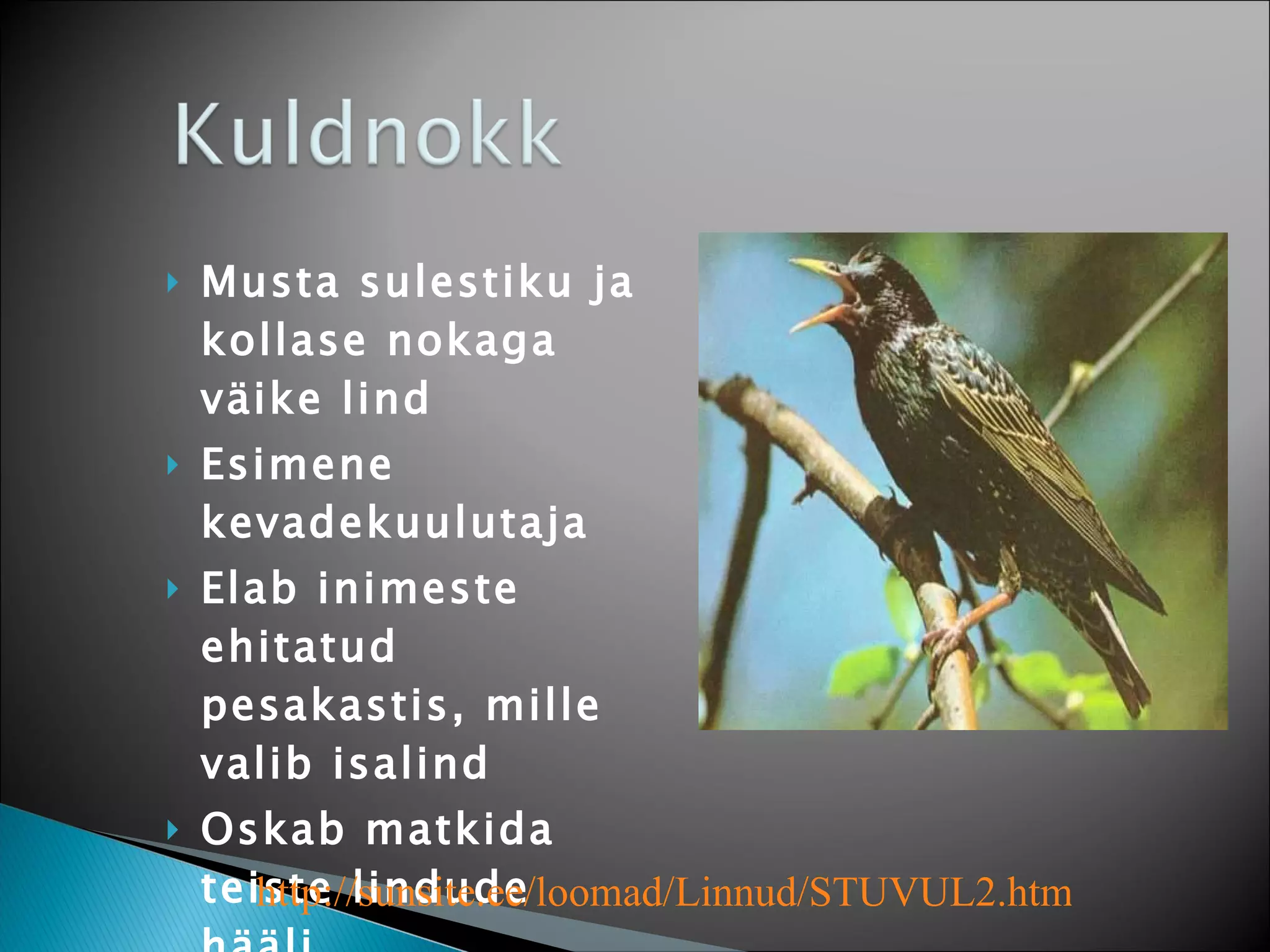 Linnud%20 Ja%20 Nende%20 Pesapaigad[1] | PPT