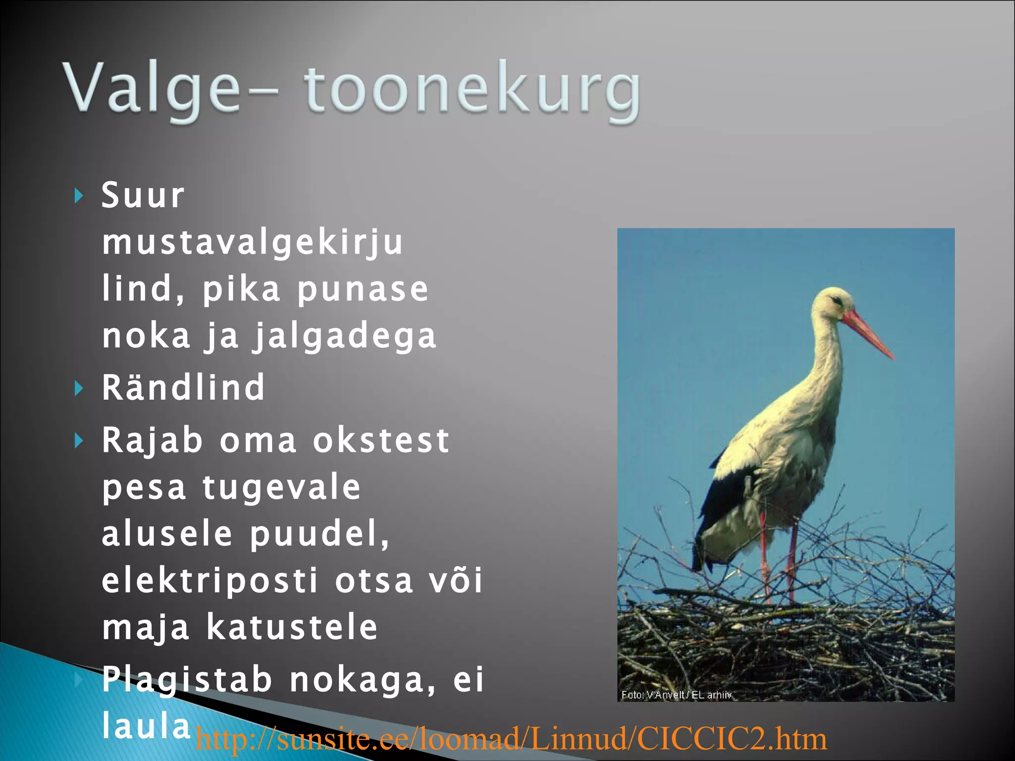 Linnud%20 Ja%20 Nende%20 Pesapaigad[1] | PPT