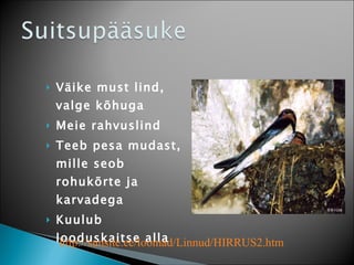 Linnud%20 Ja%20 Nende%20 Pesapaigad[1] | PPT