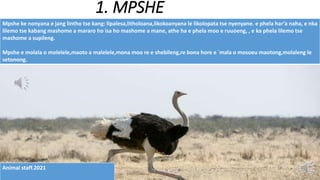 LINONYANA TSE HLAHA BY LERATO LEPHEMA | PPT