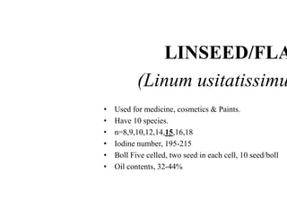 linseed 1.pptx