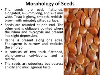 LINSEED OIL- Flax seed. | PPTX
