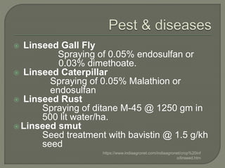 Linseed presentation | PPTX