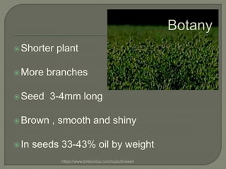 Linseed presentation | PPTX
