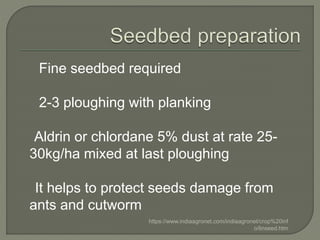 Linseed presentation | PPTX