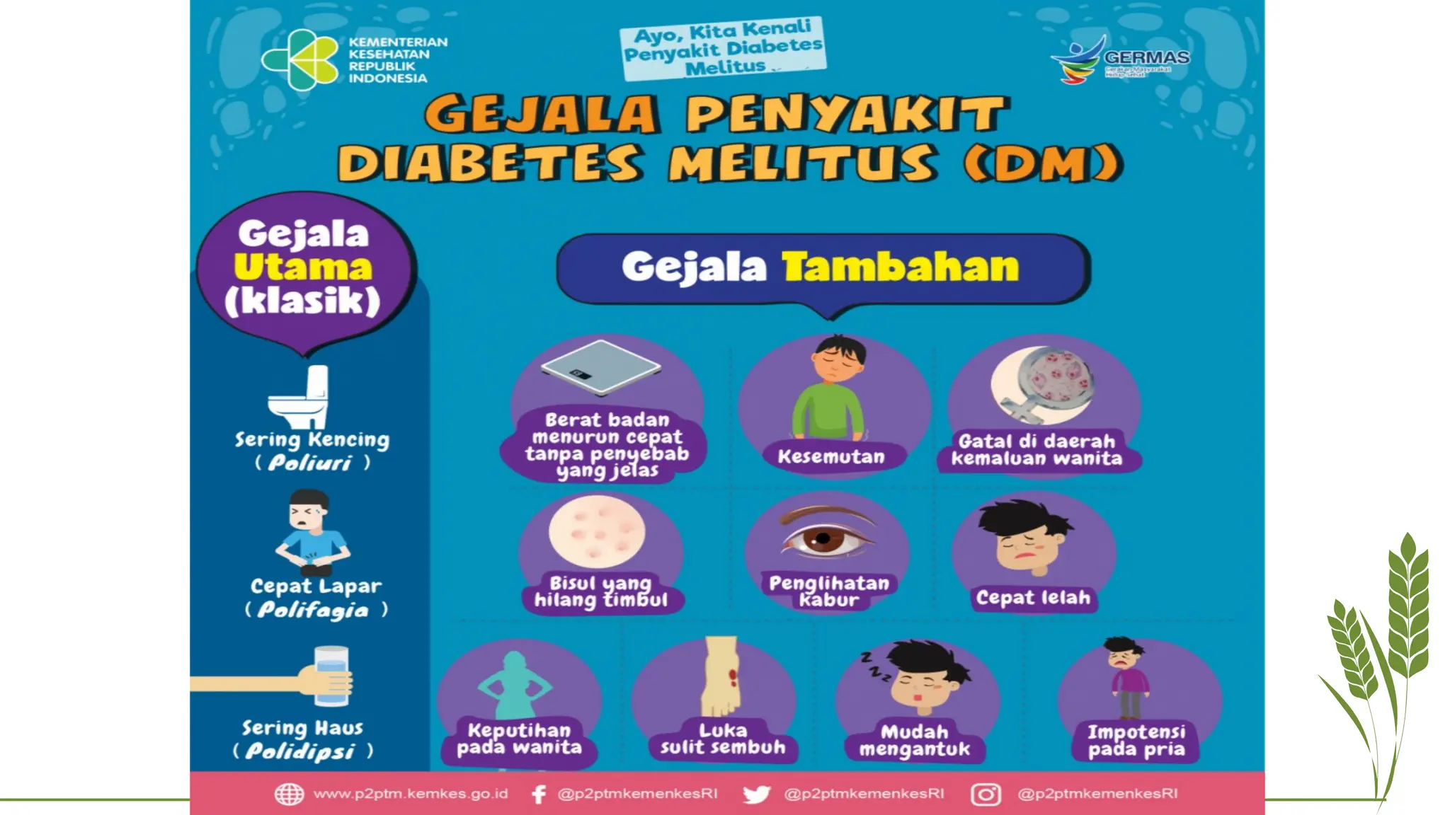 Diabetes Melitus merupakan penyakit yang dapat dicegah.pptx