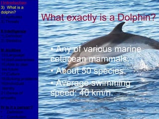 L'intelligence des dauphins | PPT
