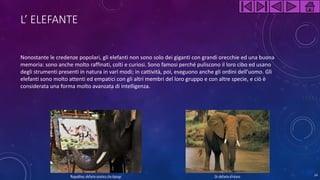 Italian Presentation '' The intelligence of the animals'' | PPT