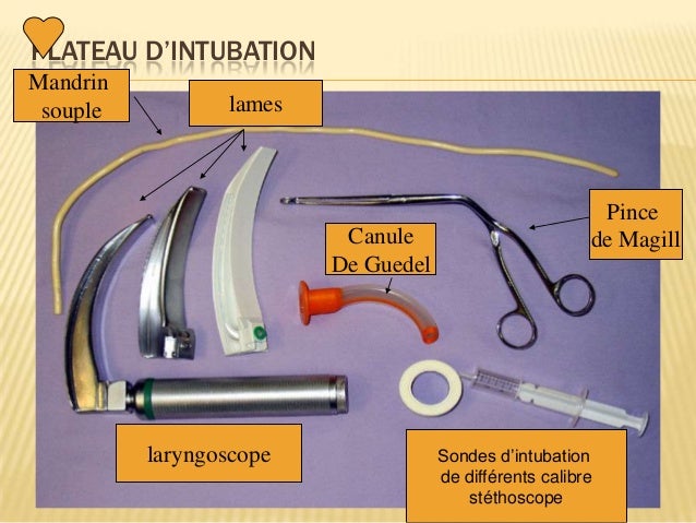 L'intubation trachéale