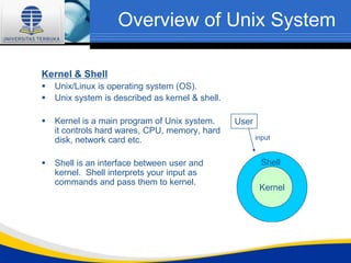 An Introduction to Linux | PPTX | Operating Systems | Computer Software and Applications