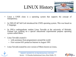 Linux Environment | PDF