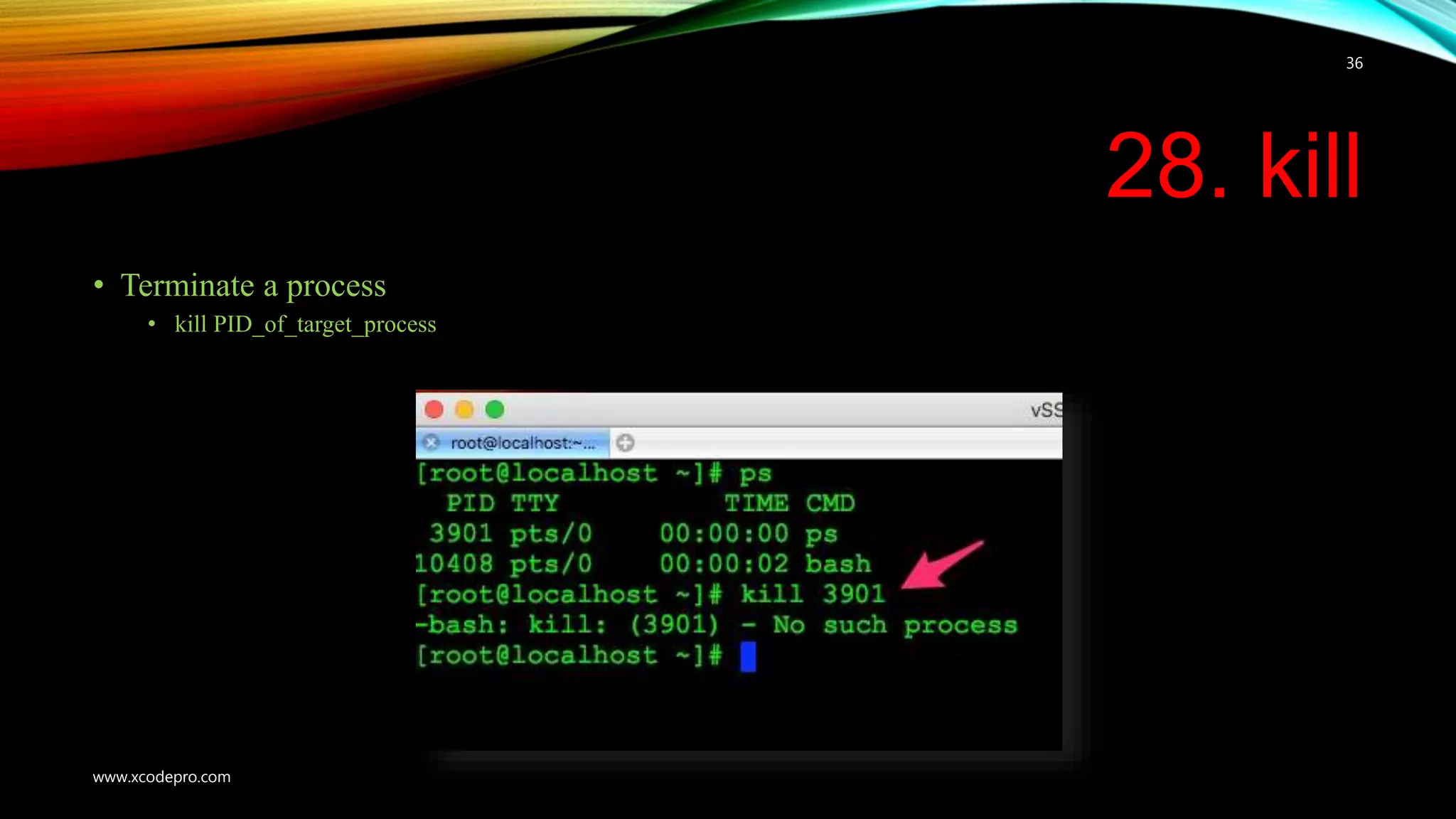 Linux Survival Guide For Data Scientists | PPTX | Operating Systems ...