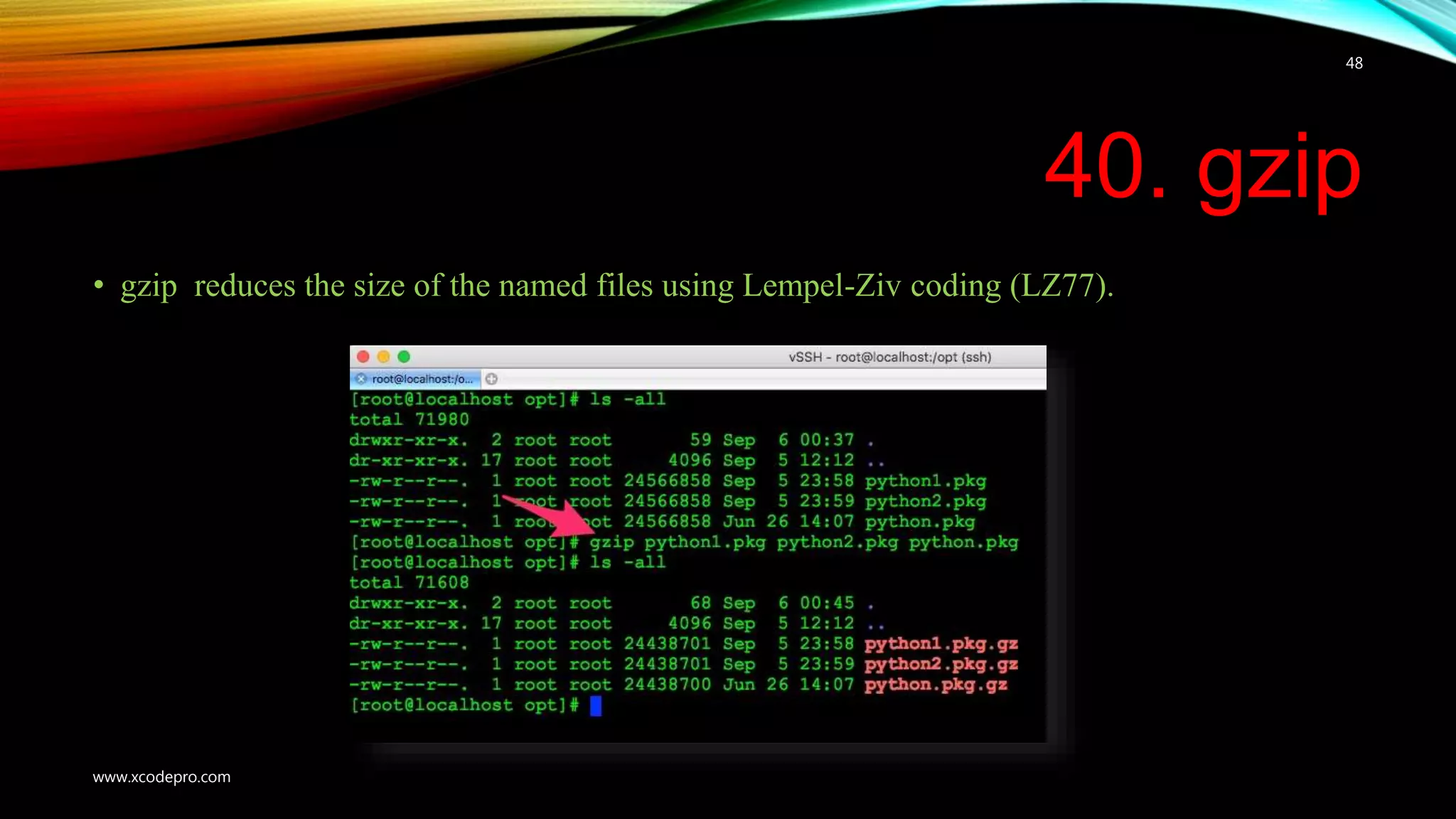 Linux Survival Guide For Data Scientists | PPTX | Operating Systems ...