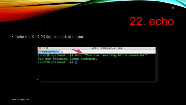 Linux Survival Guide For Data Scientists | PPTX | Operating Systems ...