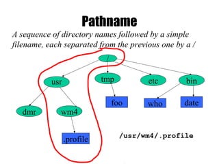 Linux: Basics OF Linux | PPT