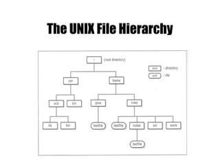 Linux: Basics OF Linux | PPT