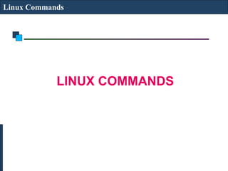 linux-lecture4.ppt
