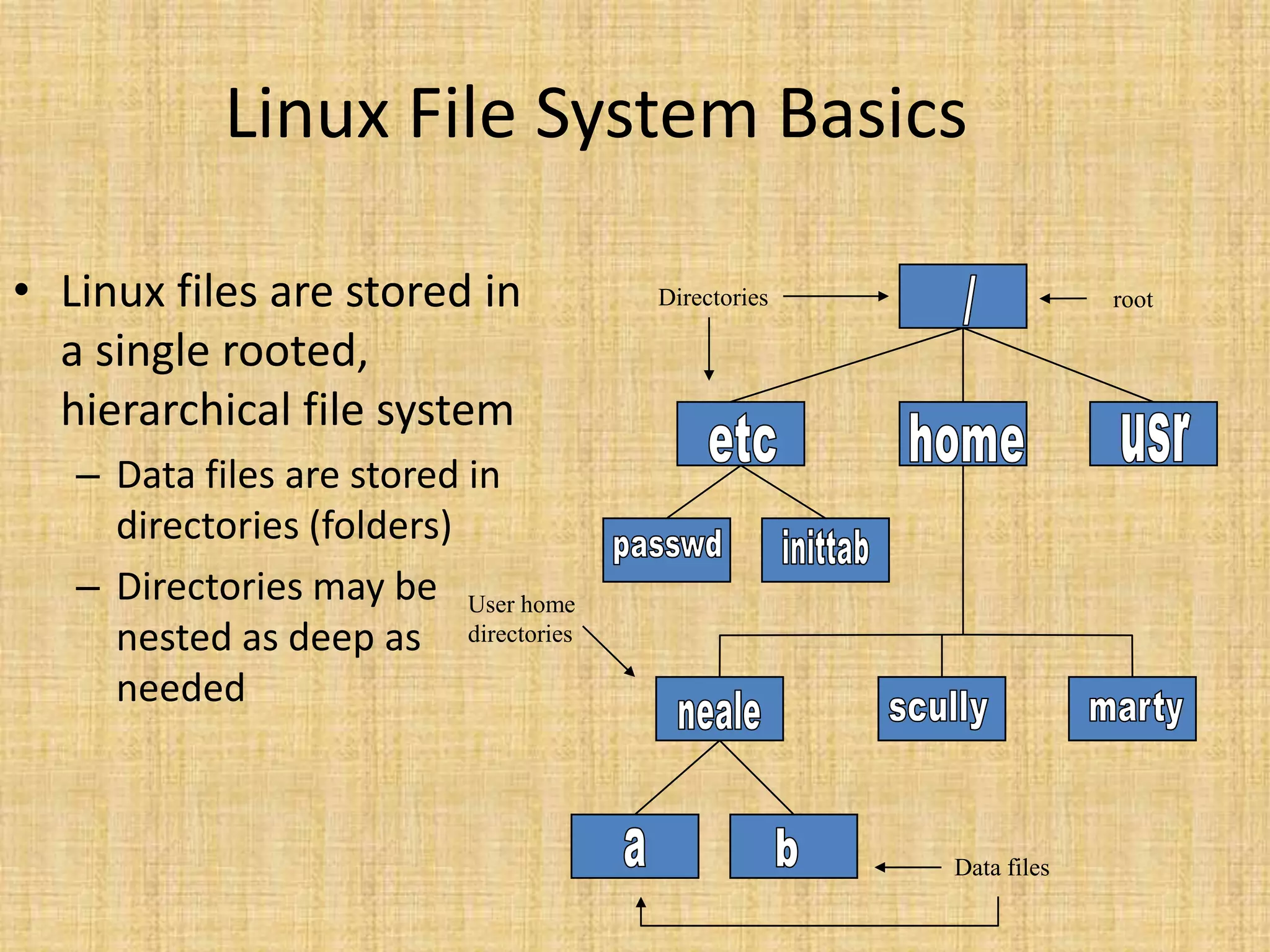 Linux.ppt | PPTX