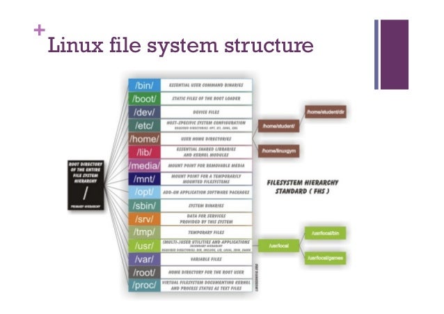 关于Linux的许多
