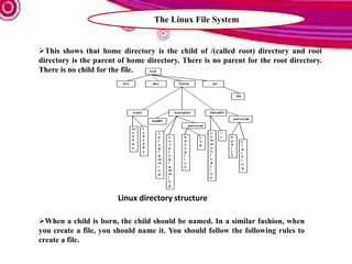 The LINUX File System - R.D.Sivakumar | PPT