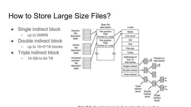 Linux and windows file system | PPTX | Operating Systems | Computer ...