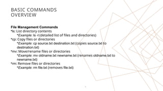 Linux Basic having information about basic of linux | PPTX