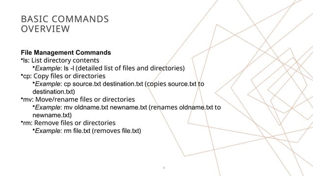 Linux Basic having information about basic of linux | PPT