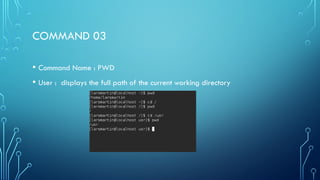 Linux Basic Commands class 2vignesh .ppt